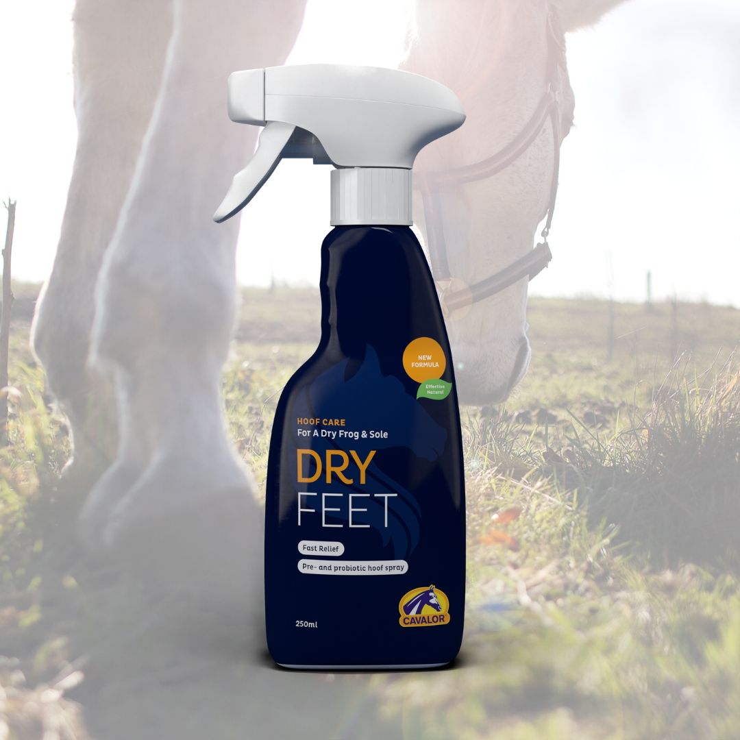 NEW & IMPROVED: Cavalor Dry Feet Natural - JRS