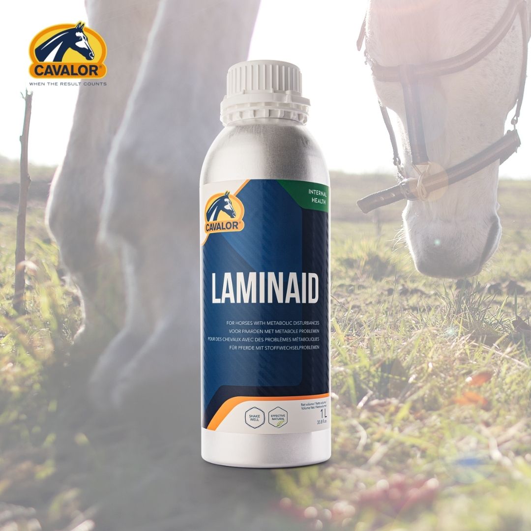 Cavalor introduceert: Hulp bij gevoelige hoeven! - JRS