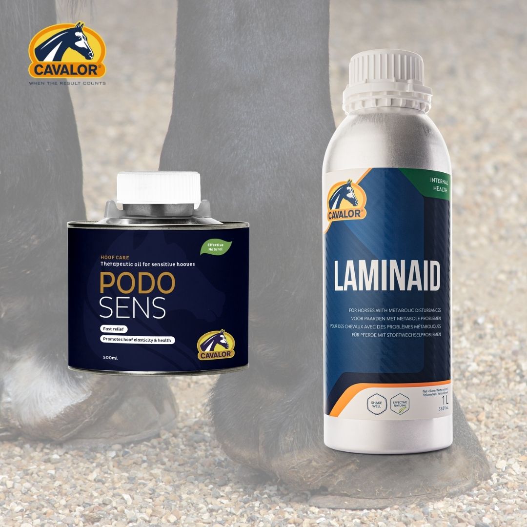 Cavalor introduceert: Hulp bij gevoelige hoeven! - JRS